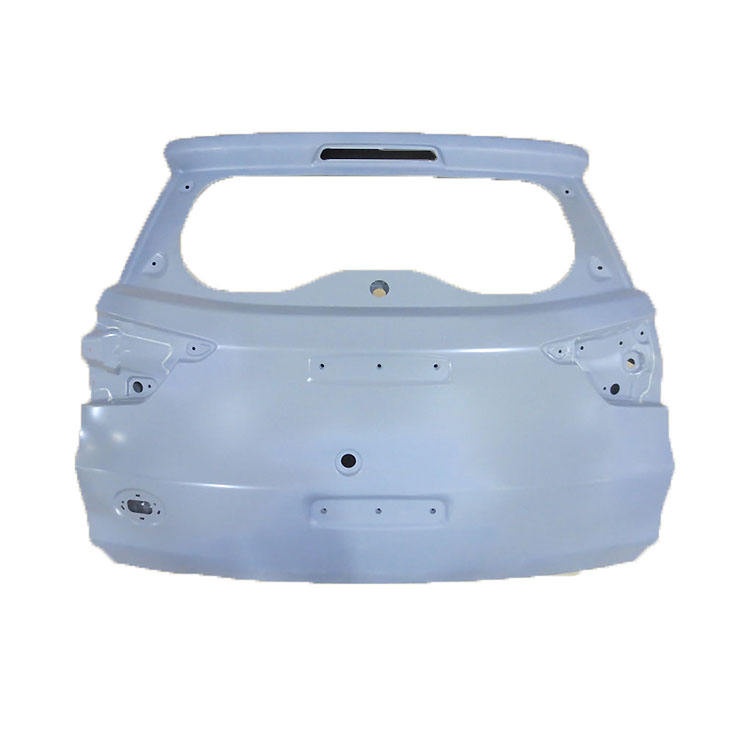 BYD Back door assembly